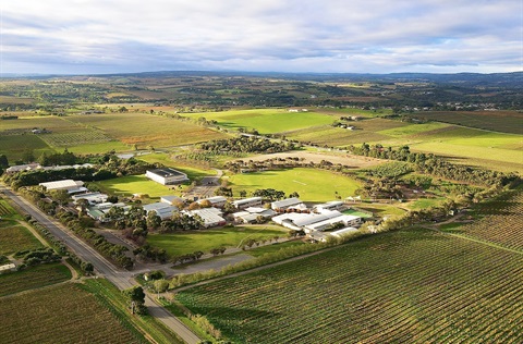 Meet the new Council Onkaparinga Now