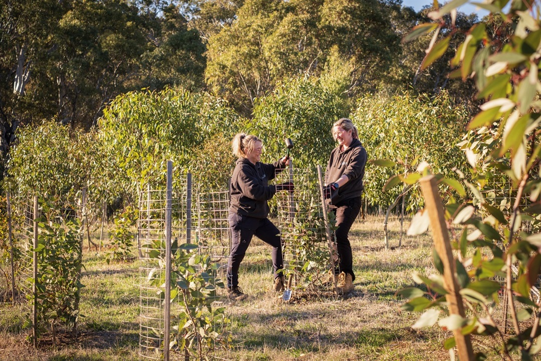 From concept to impact Onkaparinga Now